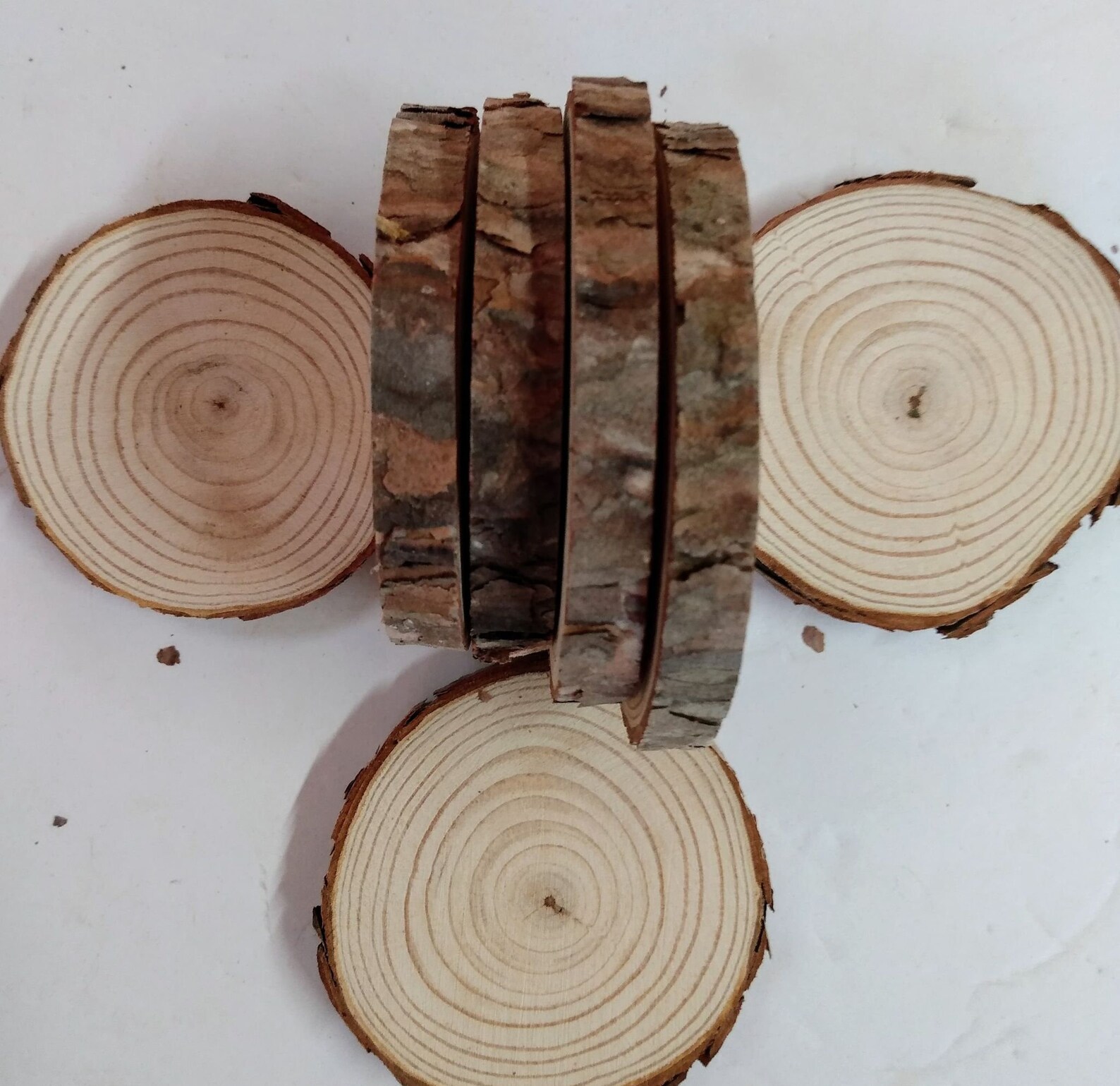 Pine 2.5-3. Pine Wood Discs/slices With Living Edge (set of 10) 2.5"-3 ...