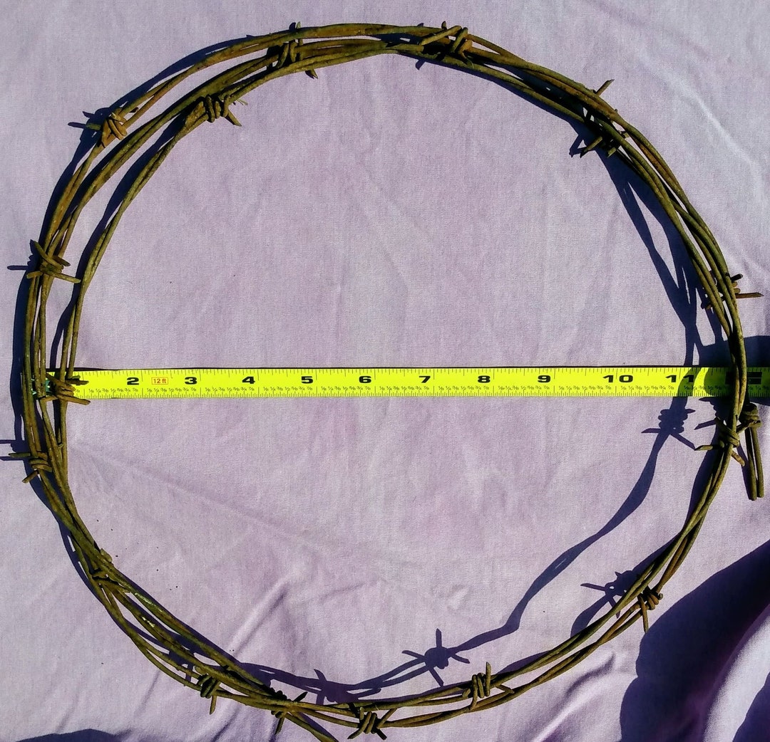 Rustic Rusty Barbed Wire Loop, Farmhouse Decor, Salvage Art - Etsy