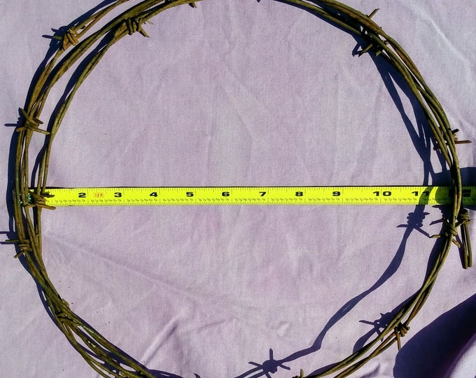 Rustic, Rusty Barbed Wire. (10) 1 Foot Lengths of 2 Strand 4 Prong ...