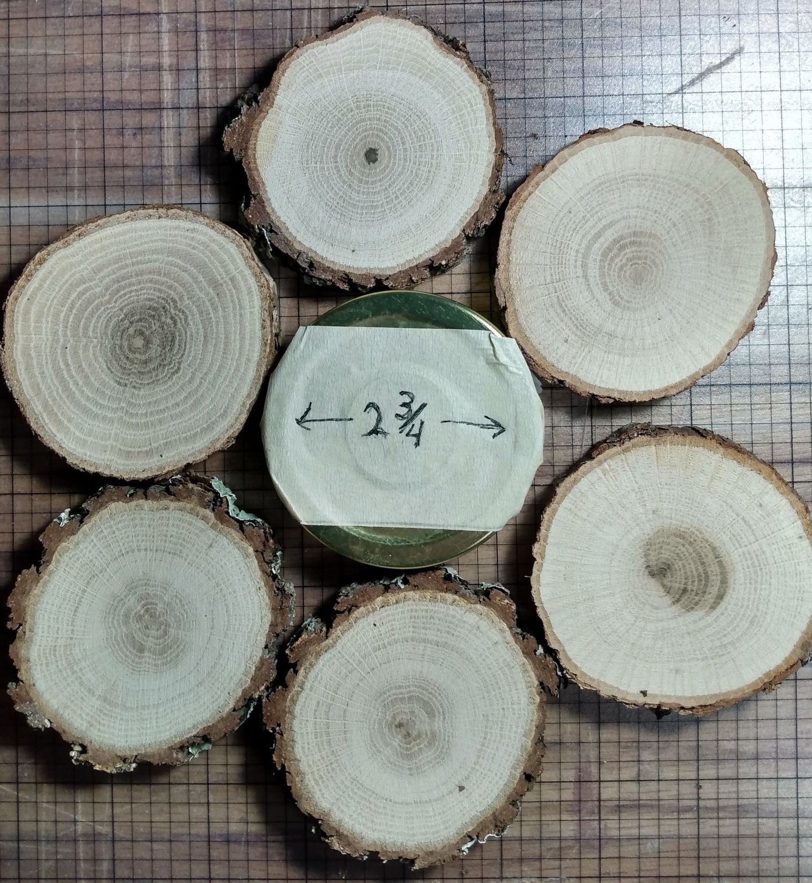 Oak Wood Slices With Living Edge set of 10. Diameter - Etsy