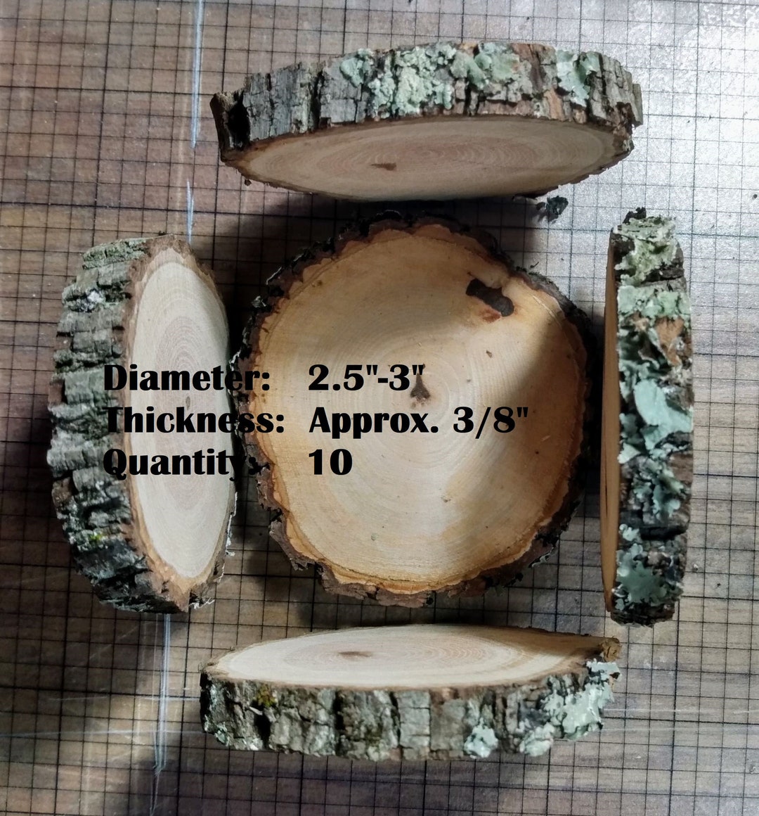 Hickory Wood Slices With Living Edge (set of 10). Diameter 2.5"-3 ...