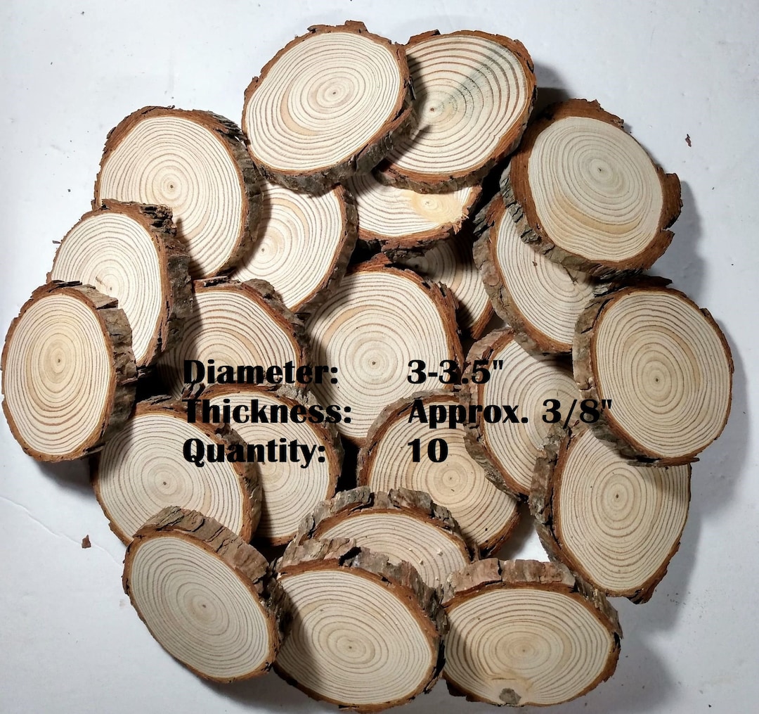Pine Wood Slices With Bark Edge (set of 10), 3-3.5" Diameter - Etsy