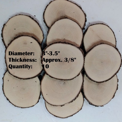 Pine Wood Discs/slices With Living Edge set of 10 - Etsy