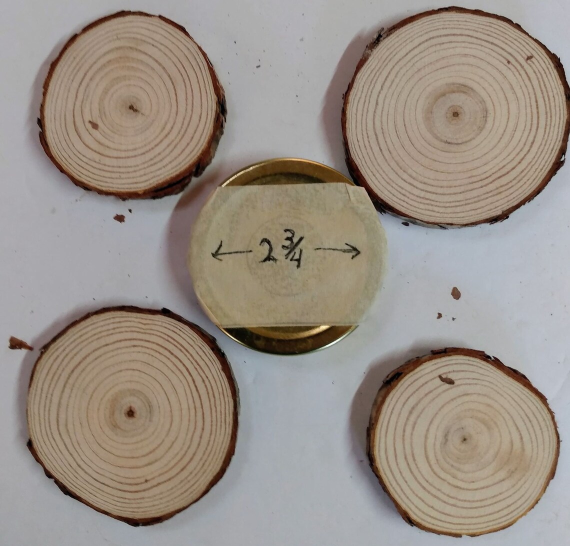Pine 2.5-3. Pine Wood Discs/slices With Living Edge (set of 10) 2.5"-3 ...