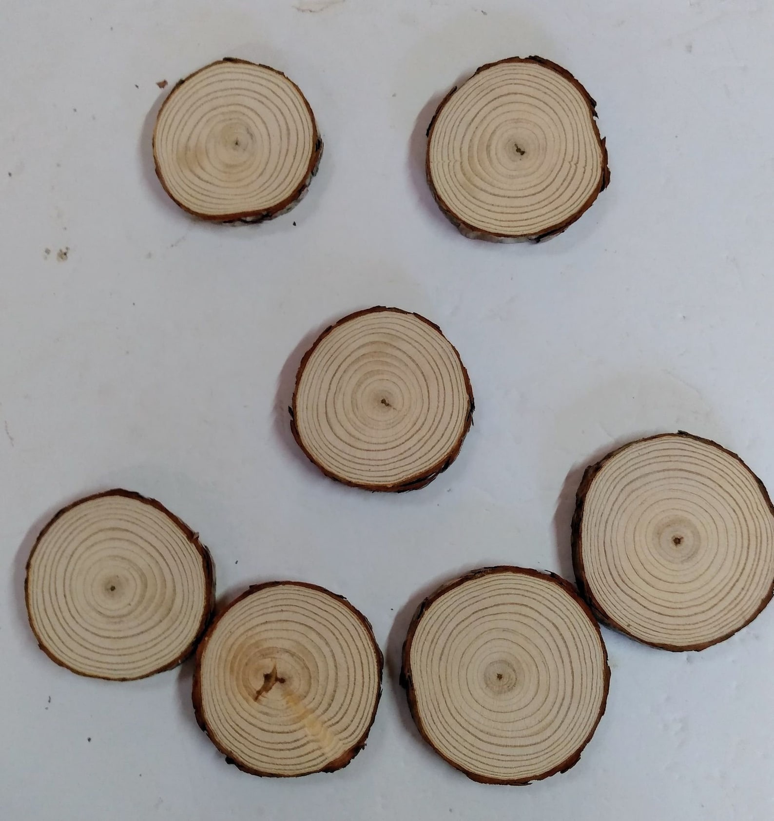 Pine 2.5-3. Pine Wood Discs/slices With Living Edge (set of 10) 2.5"-3 ...