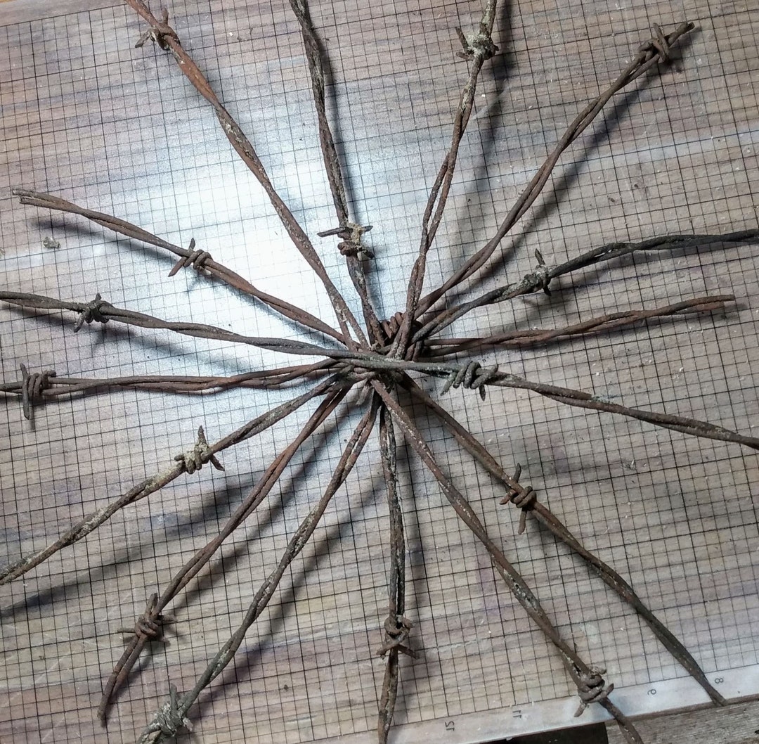Rustic, Rusty Barbed Wire. (10) 1 Foot Lengths of 2 Strand 4 Prong ...