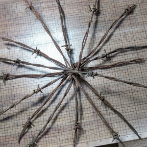 Rustic, Rusty Barbed Wire. (10) 1 Foot Lengths of 2 Strand 4 Prong ...