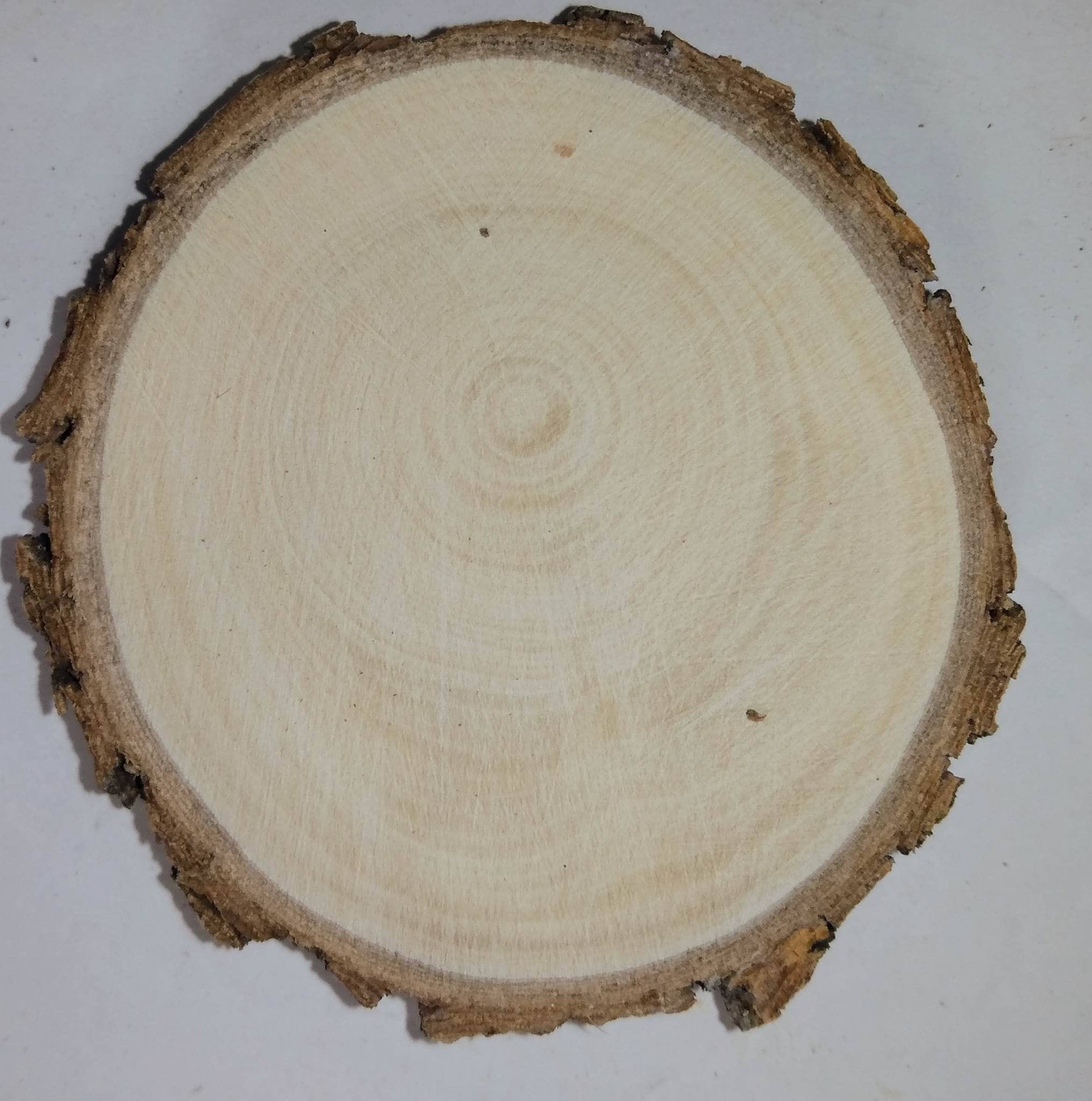 Persimmon Wood Slices With Living Edge set of 10. - Etsy