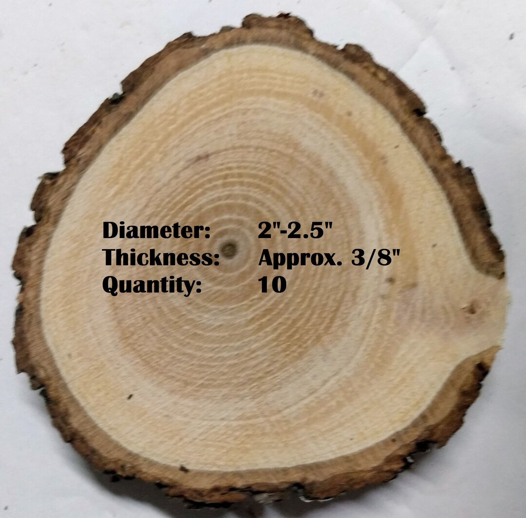 Hickory 2-2.5. Hickory Wood Slices With Living Edge (set of 10 ...