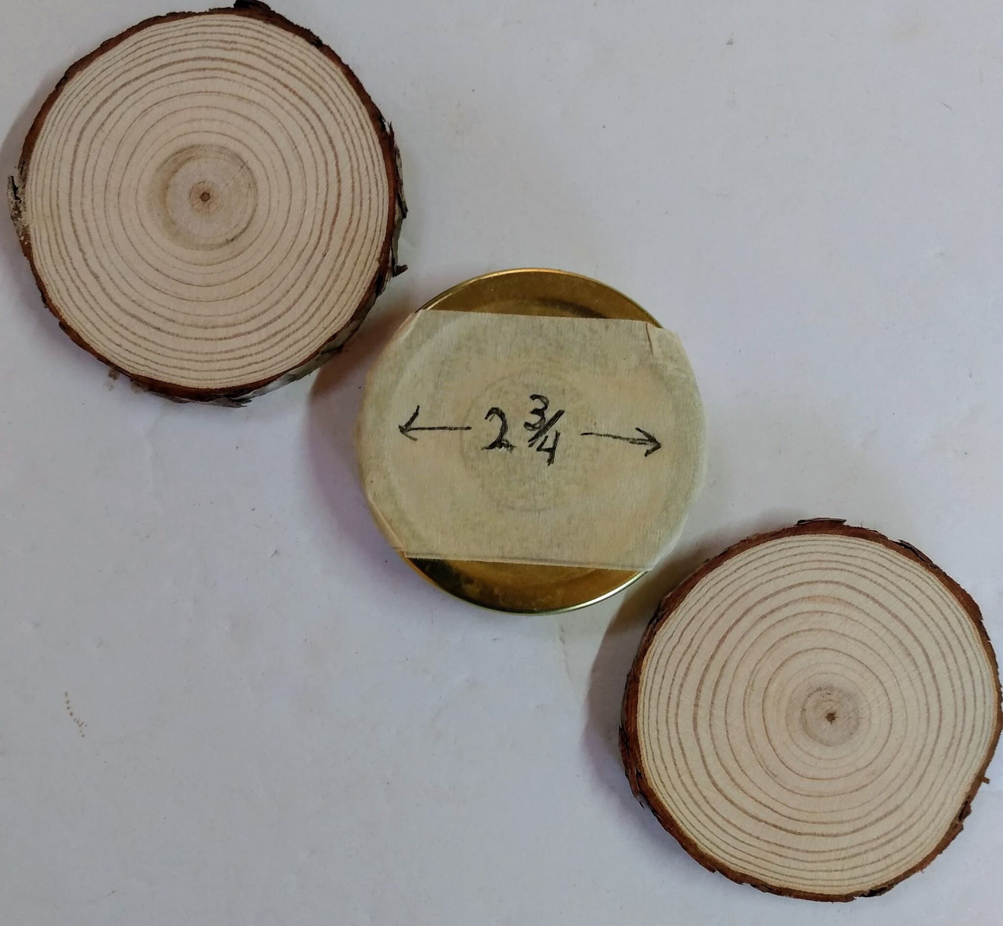Pine 2.5-3. Pine Wood Discs/slices With Living Edge (set of 10) 2.5"-3 ...