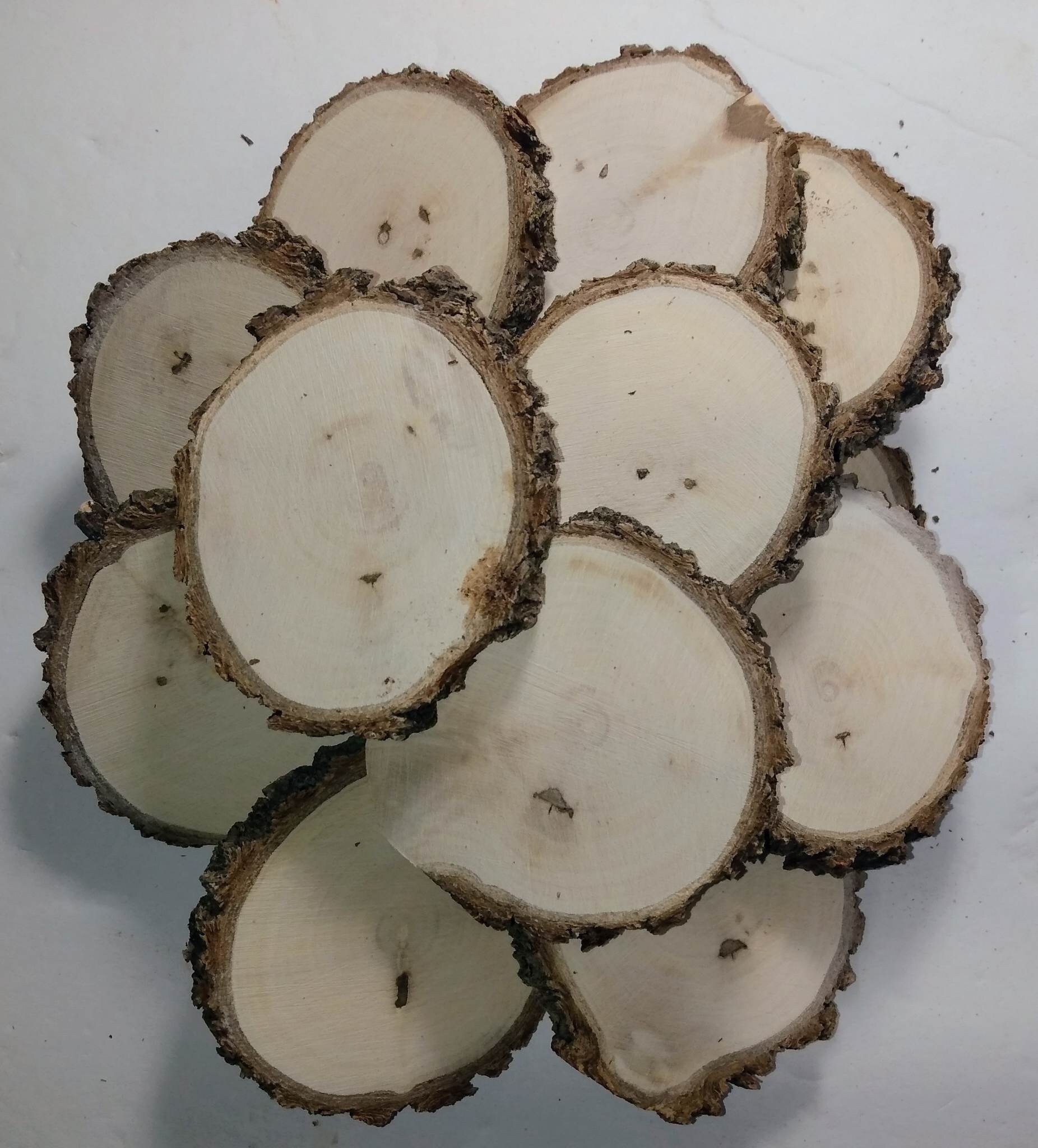 Persimmon Wood Slices With Living Edge set of 10. - Etsy