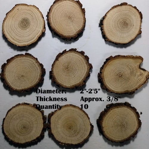 Pine Wood Discs/slices With Living Edge set of 10 - Etsy