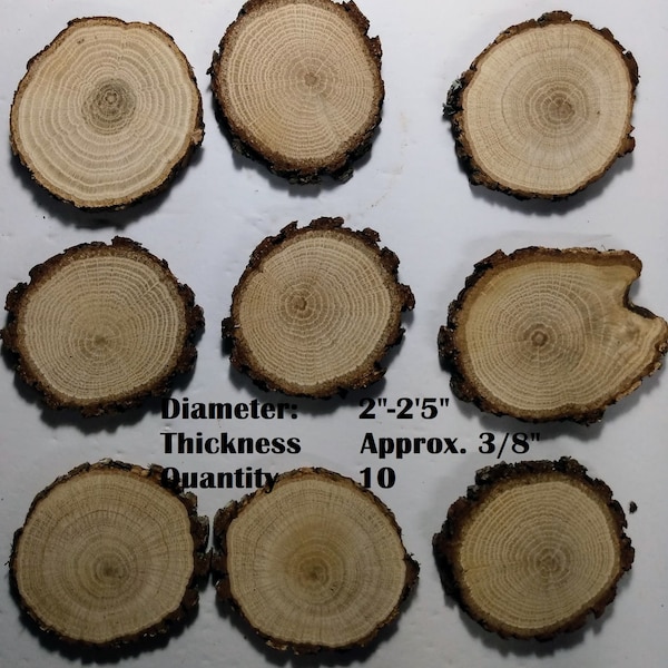 Oak Wood Slice - Etsy