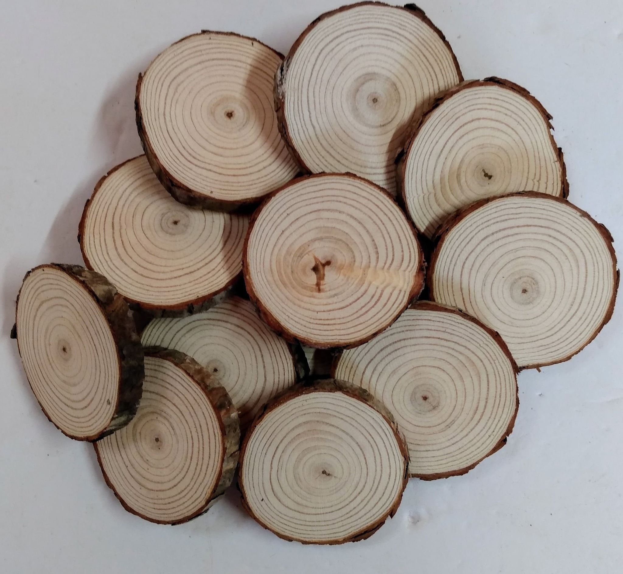 Pine 2.5-3. Pine Wood Discs/slices With Living Edge (set of 10) 2.5"-3 ...