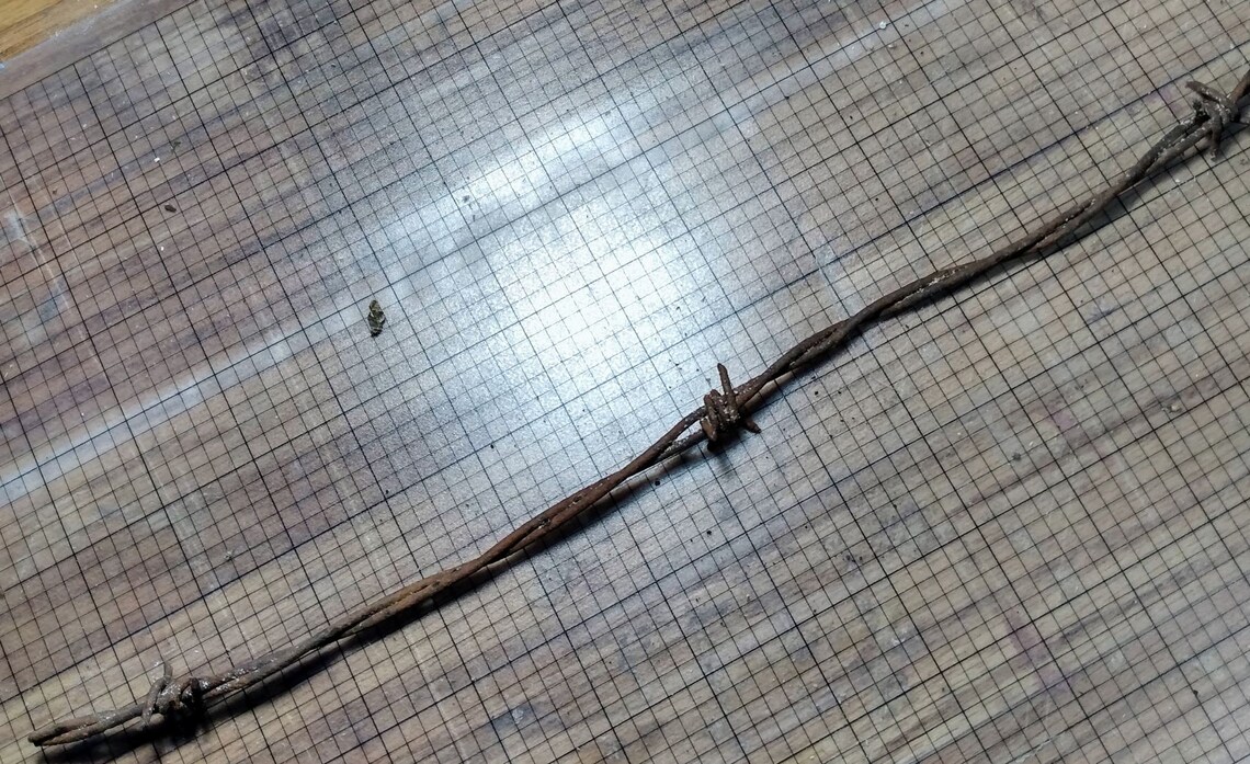 Rustic Rusty Barbed Wire. 10 1 Foot Lengths of 2 Strand 4 - Etsy