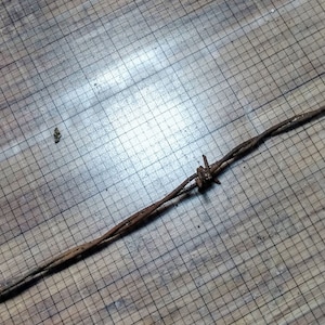 Rustic, Rusty Barbed Wire. (10) 1 Foot Lengths of 2 Strand 4 Prong ...