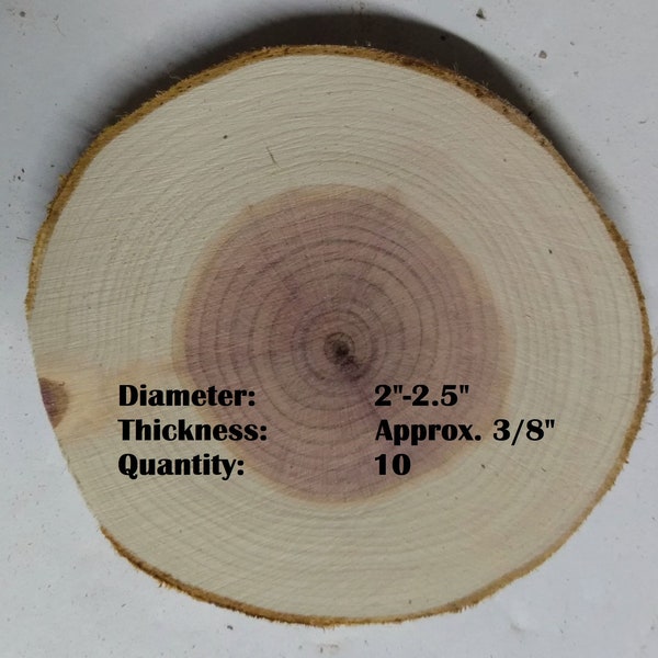 Wood Tree Slice - Etsy