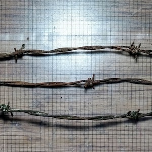 Rustic, Rusty Barbed Wire. (10) 1 Foot Lengths of 2 Strand 4 Prong ...