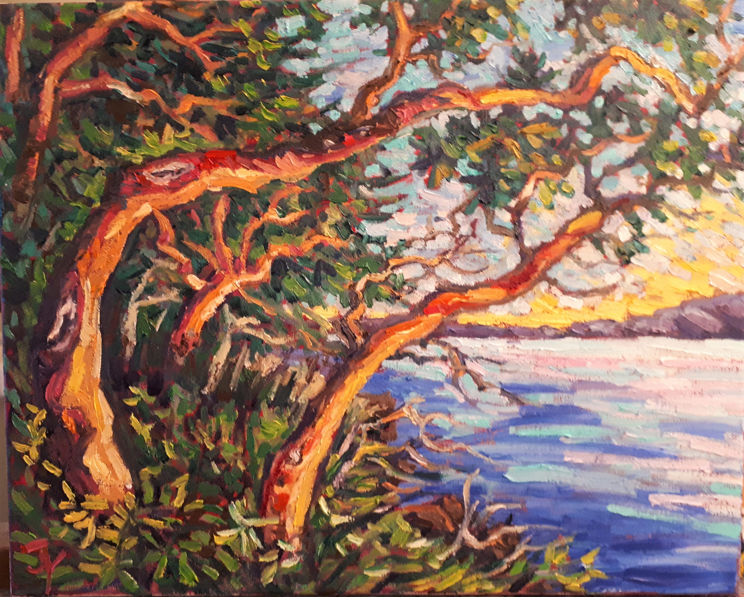 Madrona Tree Painting - Etsy