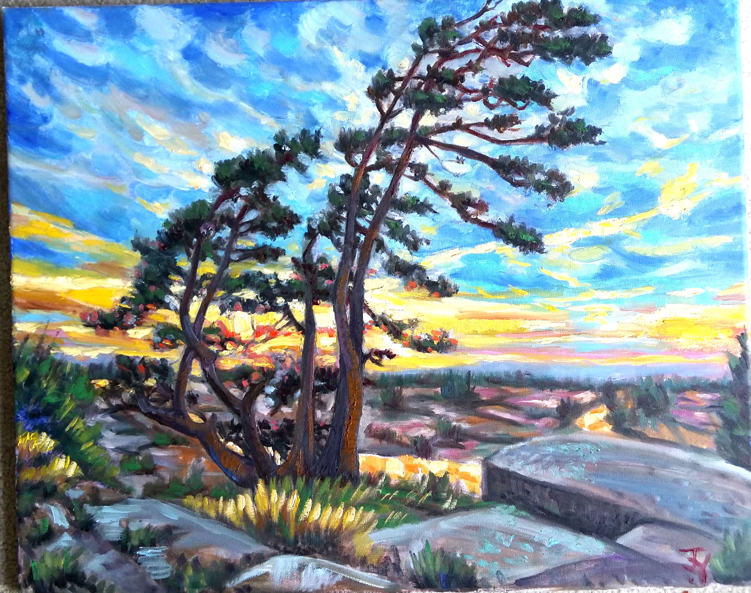 Original Oil Painting Windswept Pine 181105 16x20 - Etsy
