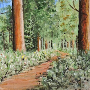 Williamson River Camp Ground in Central Oregon - Etsy