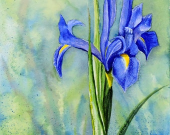 Art Print Iris Botanical Print Gift for Her Flower - Etsy UK