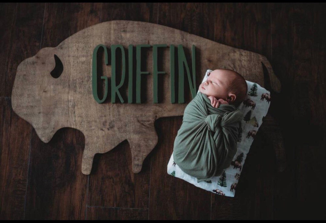 Larger Bison Wood Sign • Buffalo Custom Name Sign • Nursery Name Sign ...