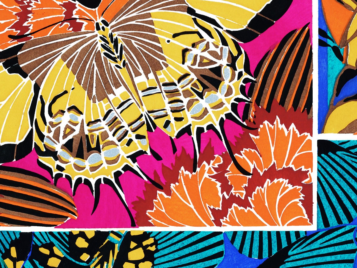 Papillons by EA Seguy Plate 18 Nature Prints, Butterfly Prints, Pattern ...
