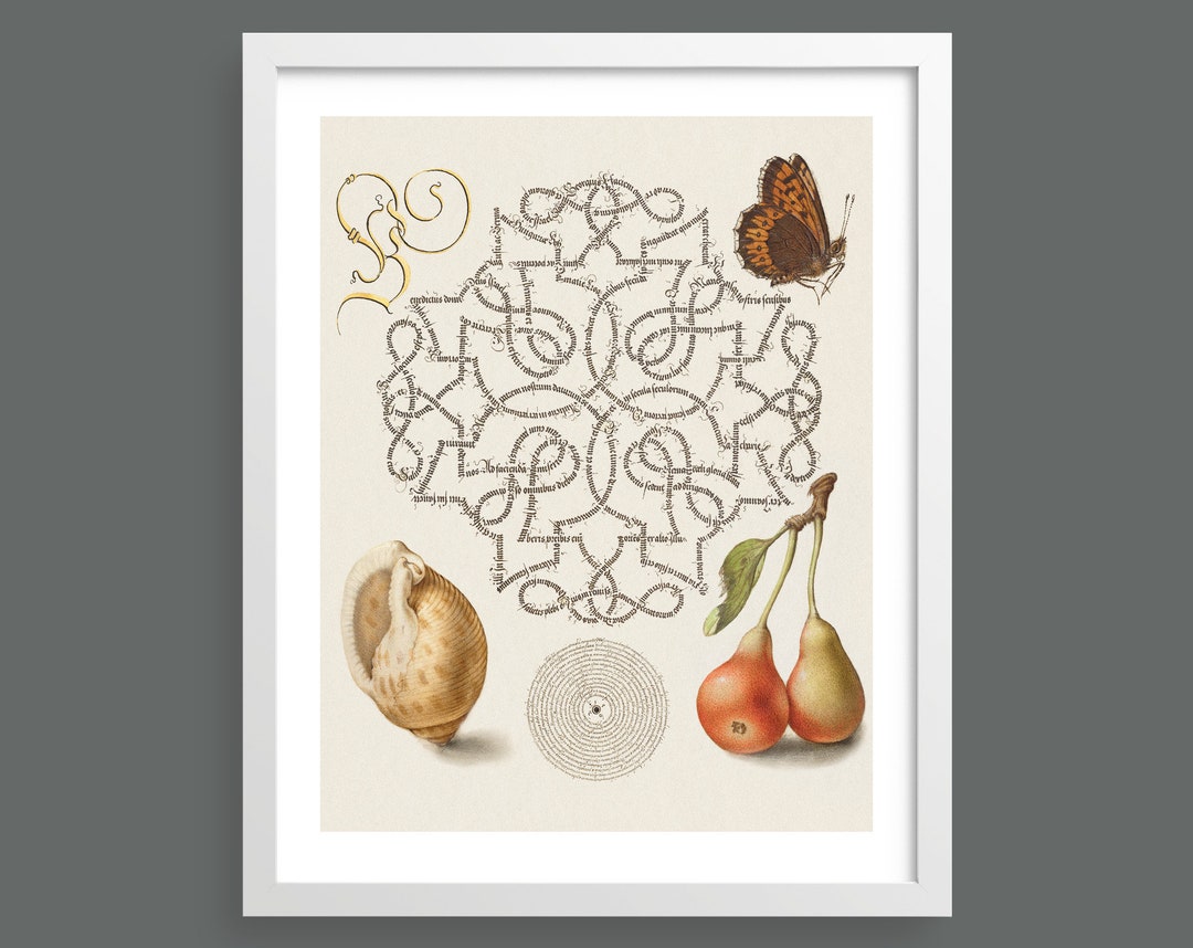 Botanical Calligraphy Art Print: Cherries, Flowers, Butterfly - Etsy