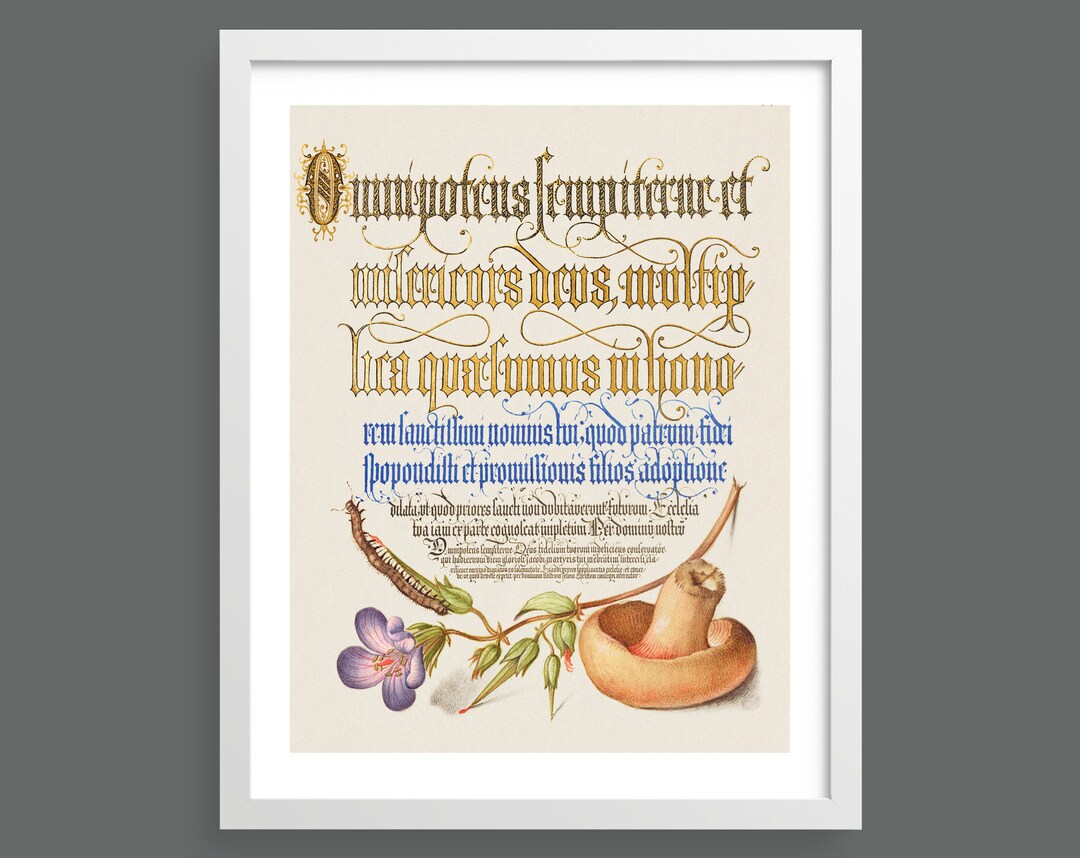 Botanical Art Print: Vintage Mushroom, Insect & Floral Calligraphy - Etsy