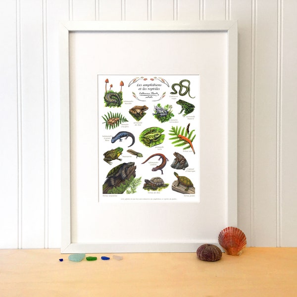 Nature Poster - Etsy