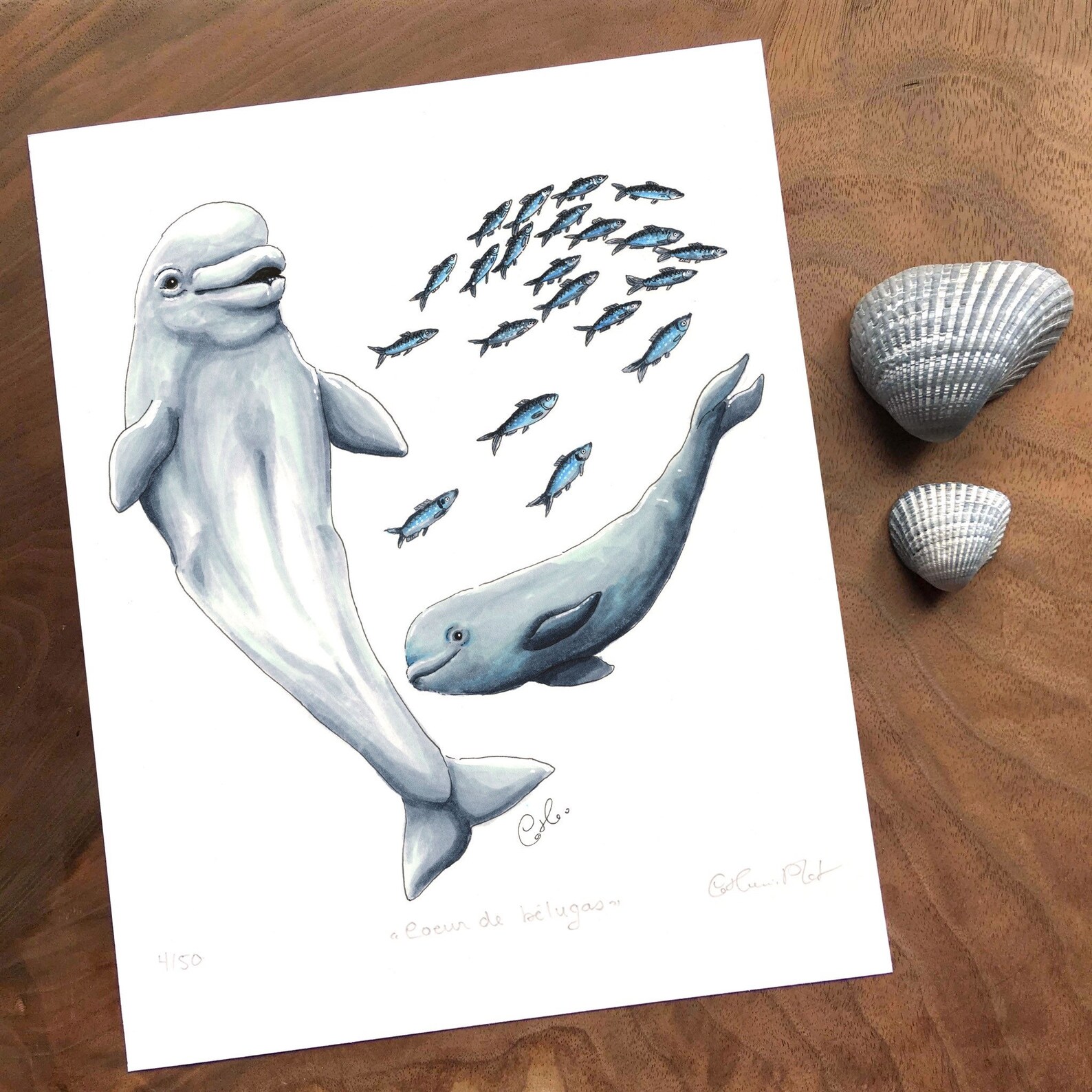 Art Print Heart of Beluga Whale 10 X 8 in Signed - Etsy