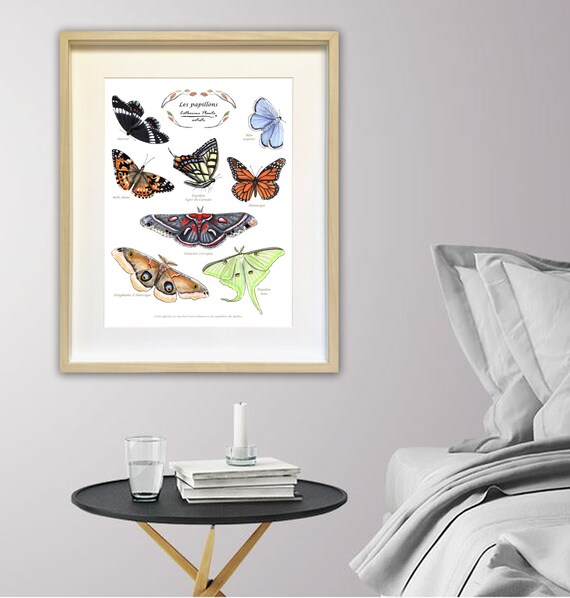 Educational poster Butterflies Monarch Luna moth Painted | Etsy