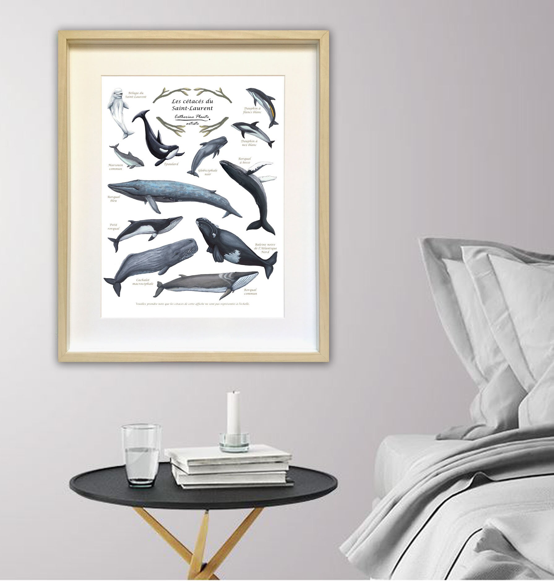 Educational Poster Cetaceans of the St. Lawrence Whale - Etsy Canada