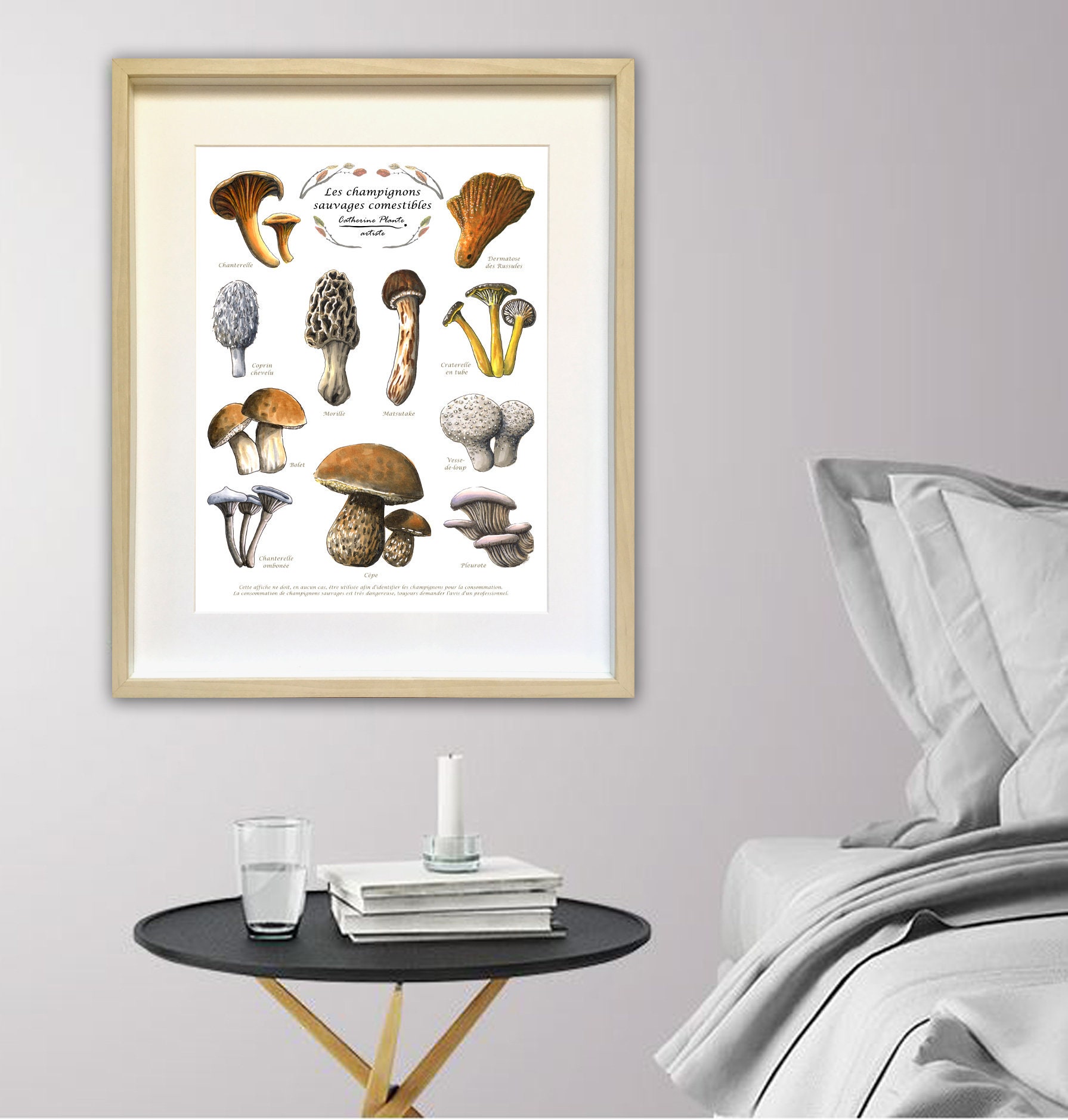 Educational Poster Wild Edible Mushrooms Chanterelle - Etsy