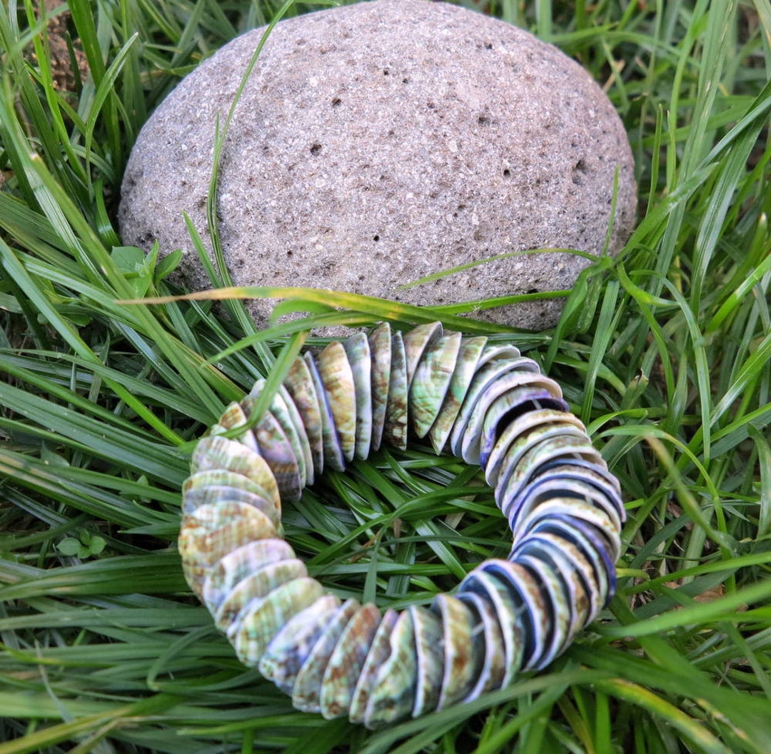 Boho Seashell Bracelet, Boho Chic Shell Jewelry, Vintage Seashell Cuff ...