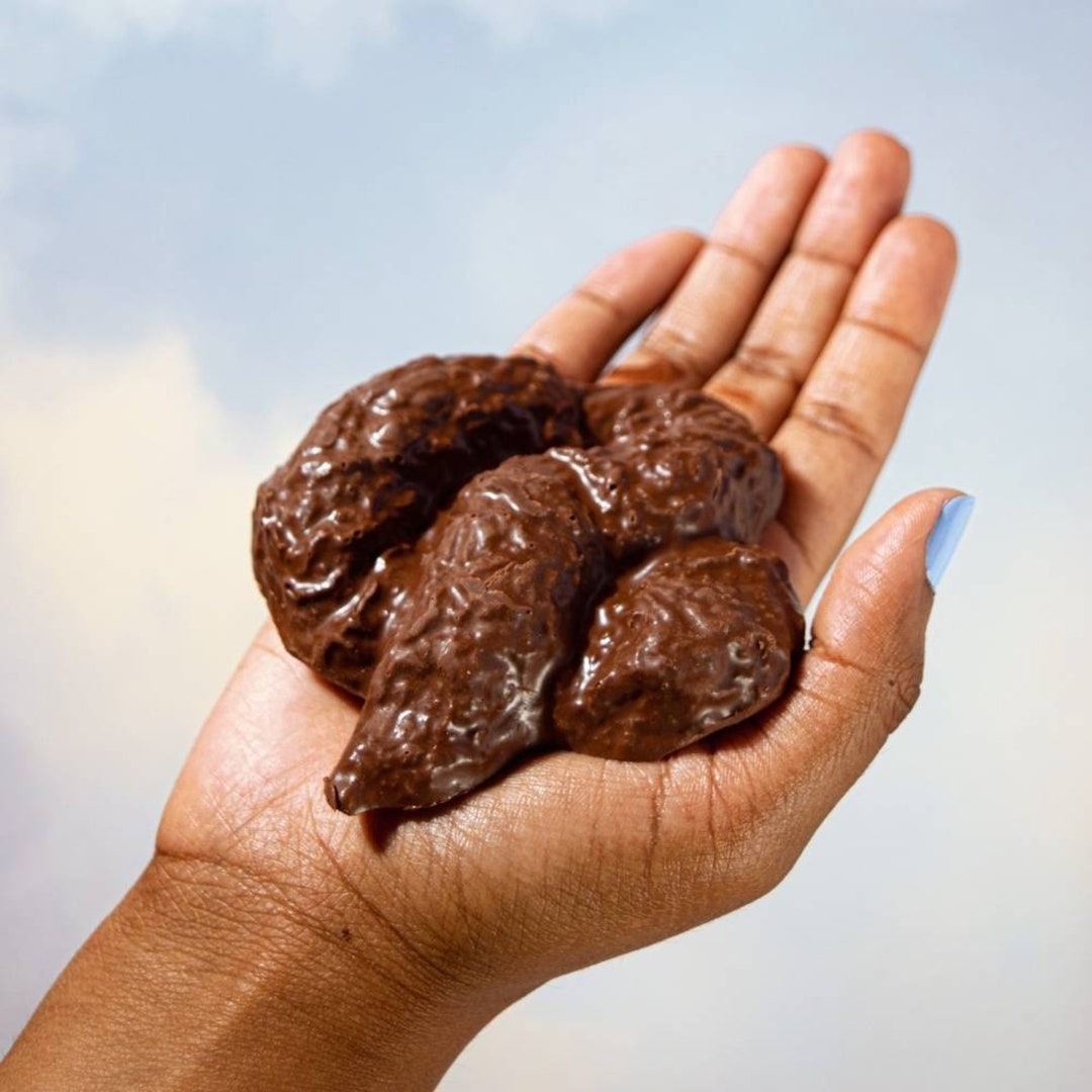 Anonymous Mail Prank Organic Chocolate Poop Prank Chocolate for Father ...