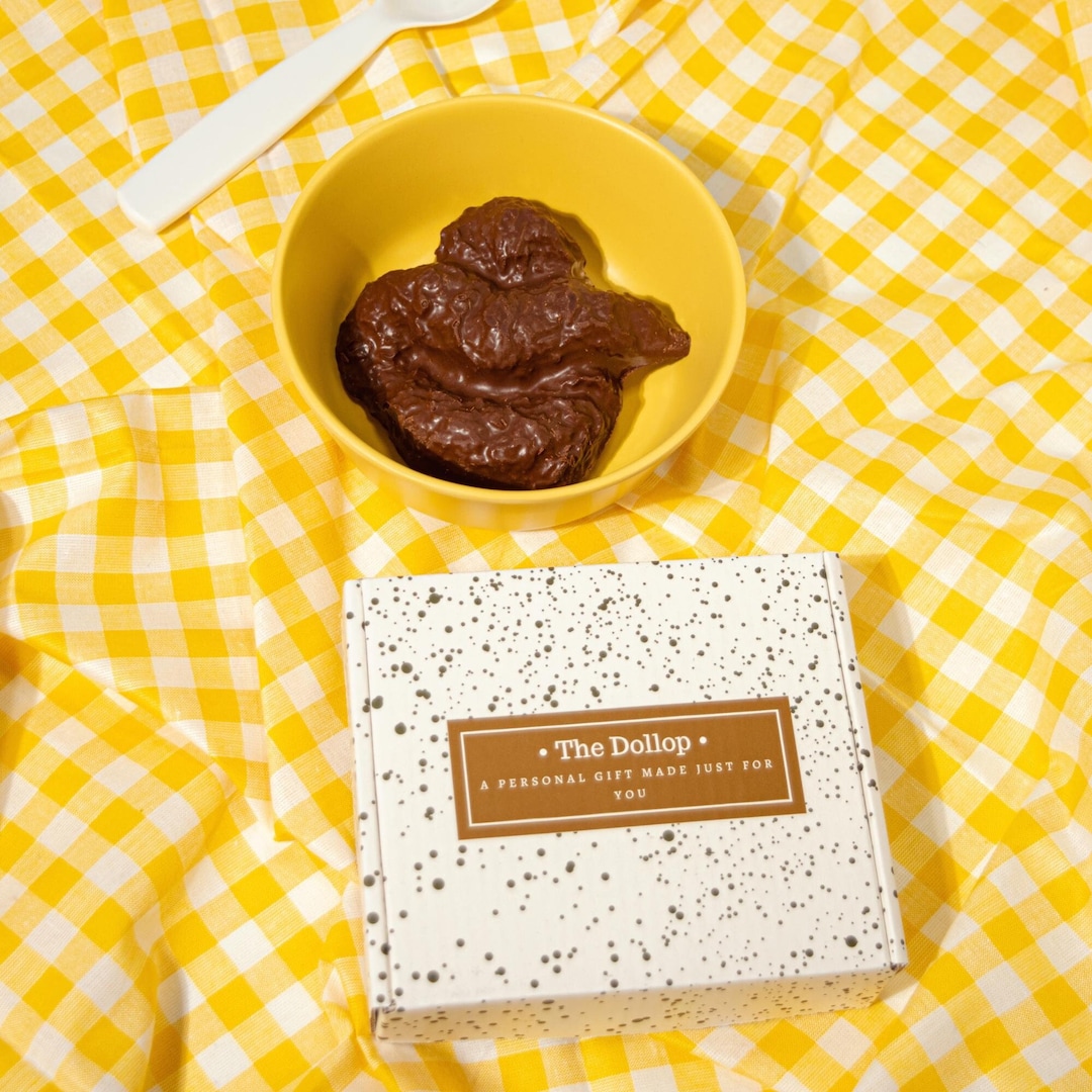 Fake Poop Prank Revenge Gift for Best Friend Anonymous Mail Prank ...