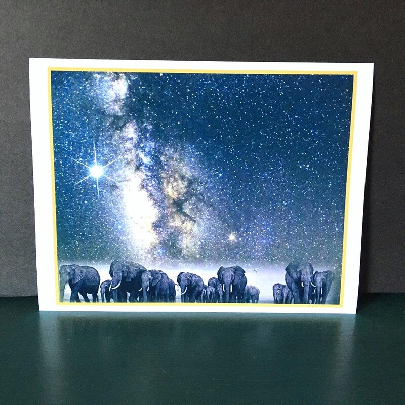 Elephant Cards - Etsy