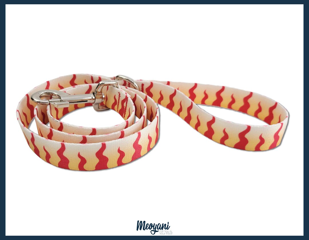 Fire Breathing Anime Leash/ 4ft Dog Small and Large Leash - Etsy