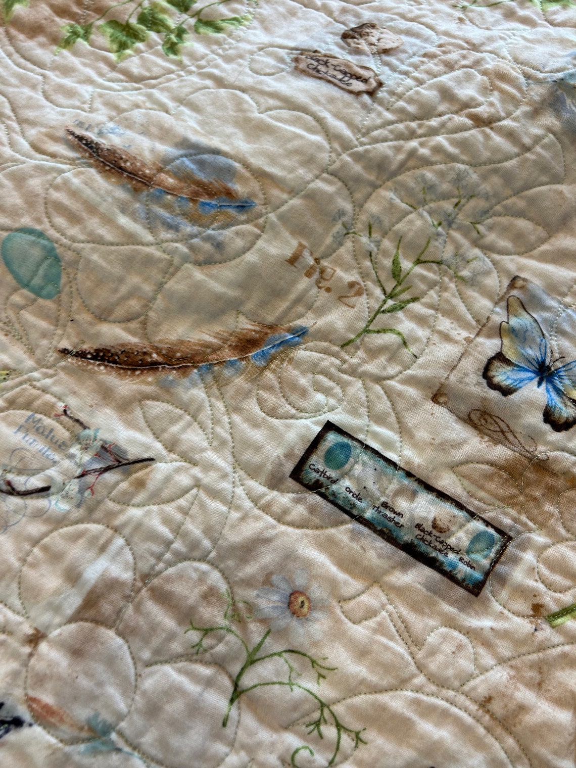 Welcome Spring! Bird Nest, Butterflies and Feathers Road Race Quilt - Etsy