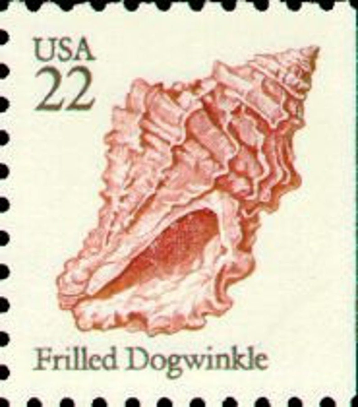 22c Seashell Stamps .. Vintage Unused US Postage Stamps .. - Etsy