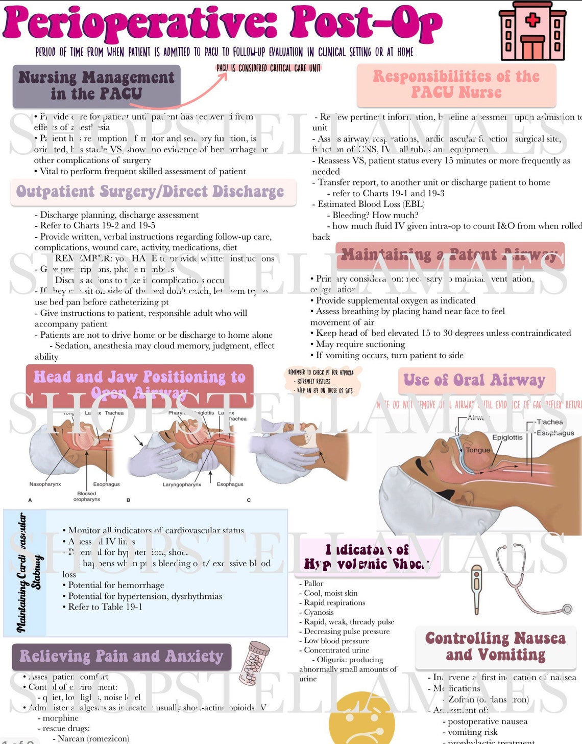 BUNDLE** Pre-op Intra-op Post-op Nursing Student Notes - Study Guide ...
