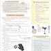 BUNDLE** Pre-op Intra-op Post-op Nursing Student Notes - Study Guide ...