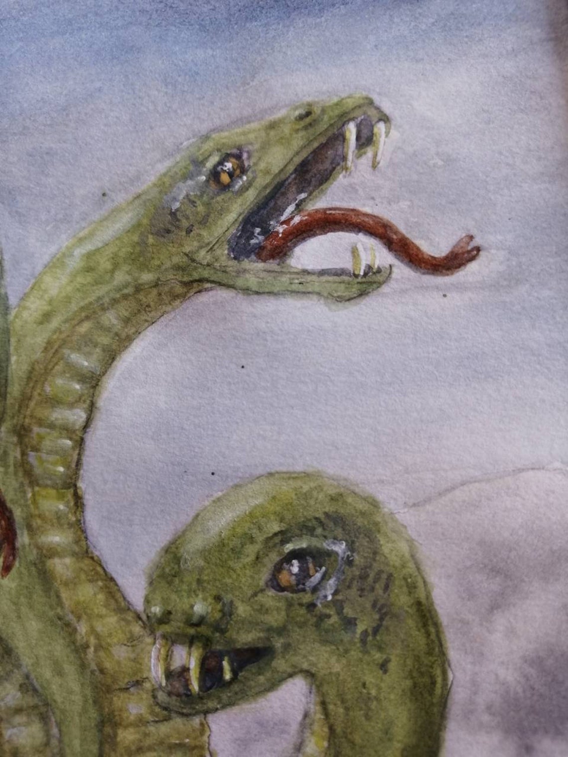 Many-headed Snake / Hydra Original Watercolour Painting - Etsy