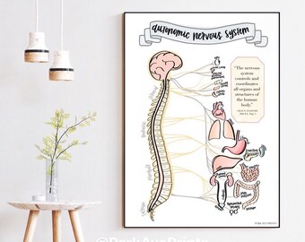 Chiropractic art | Etsy