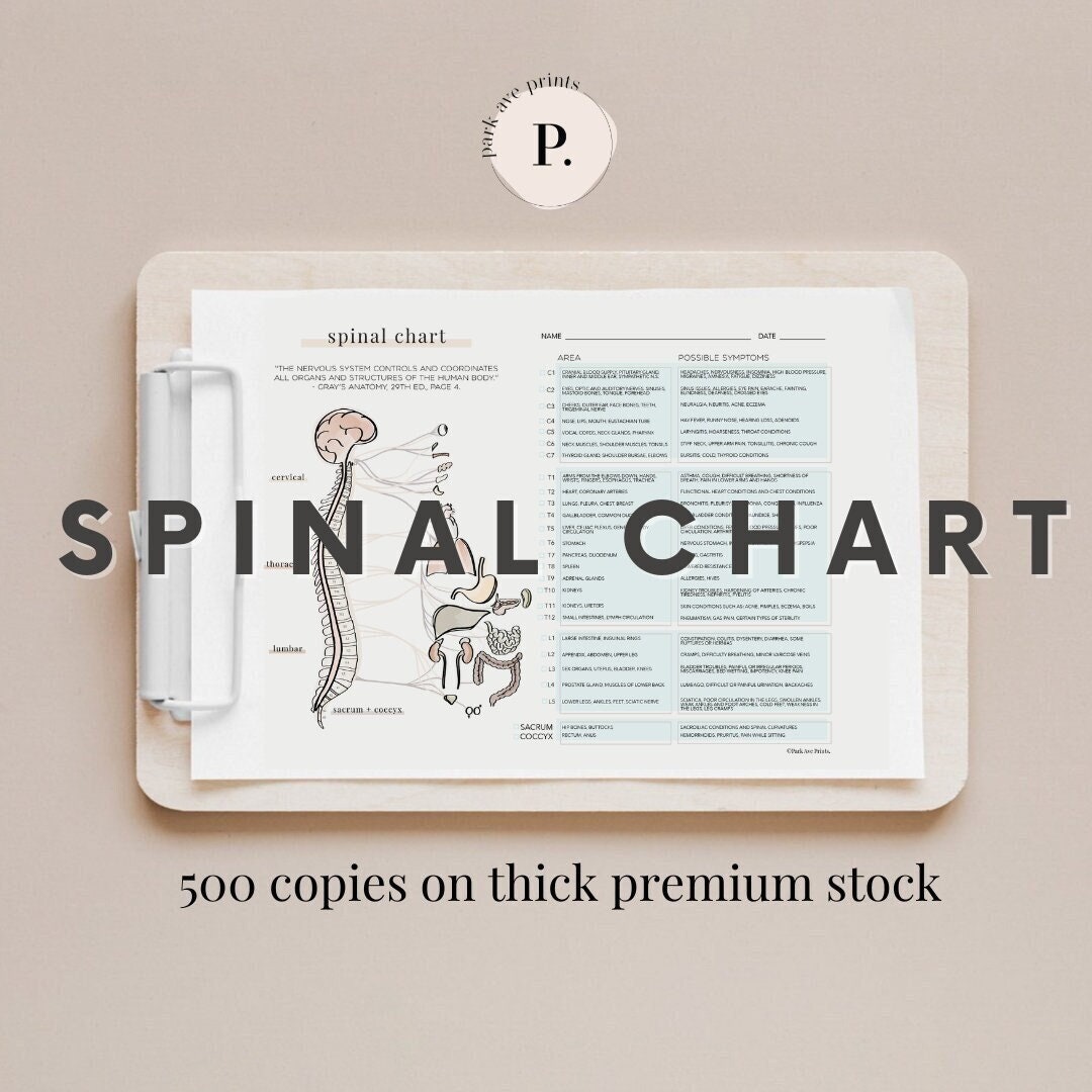 ANS 500ct. Spinal Chart Printout ROF - 500 Copies Premium Stock ...