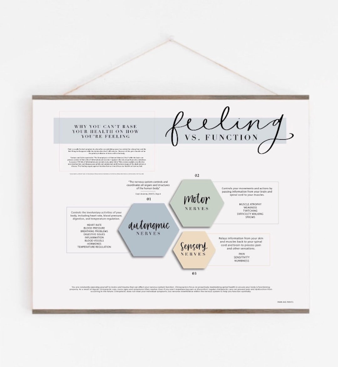 Feeling VS Function Poster - Nerve Function Chiropractic Education ...
