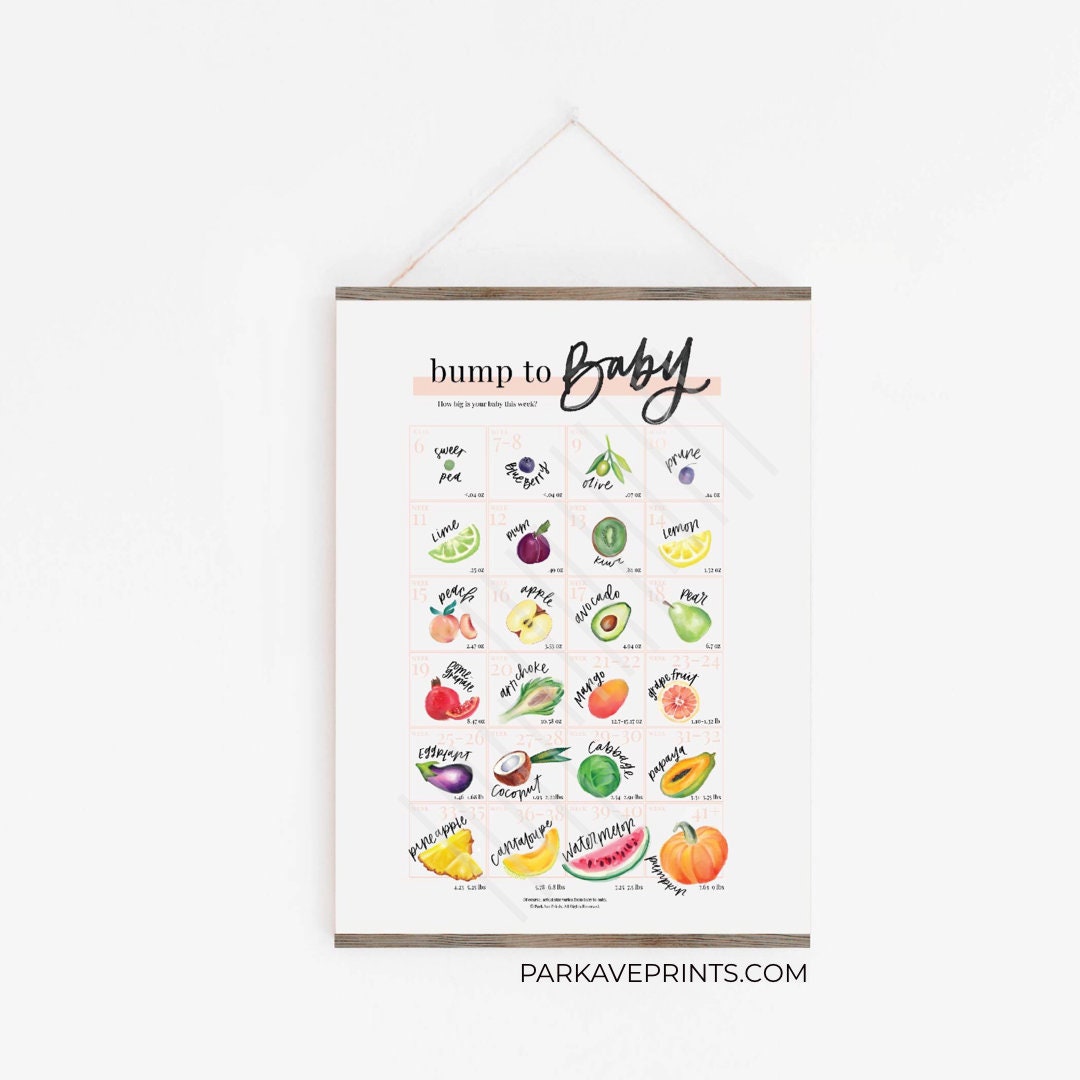 Baby Bump Pregnancy Chart Week by Week Baby Size Fruit Poster - Etsy