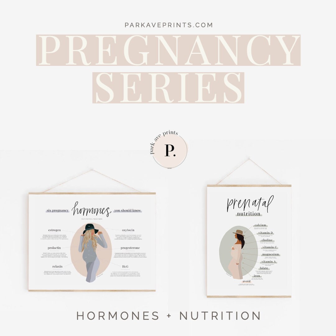 NEW! Prenatal Nutrition Poster | Doula | OBGYN | Chiropractic Poster - Etsy